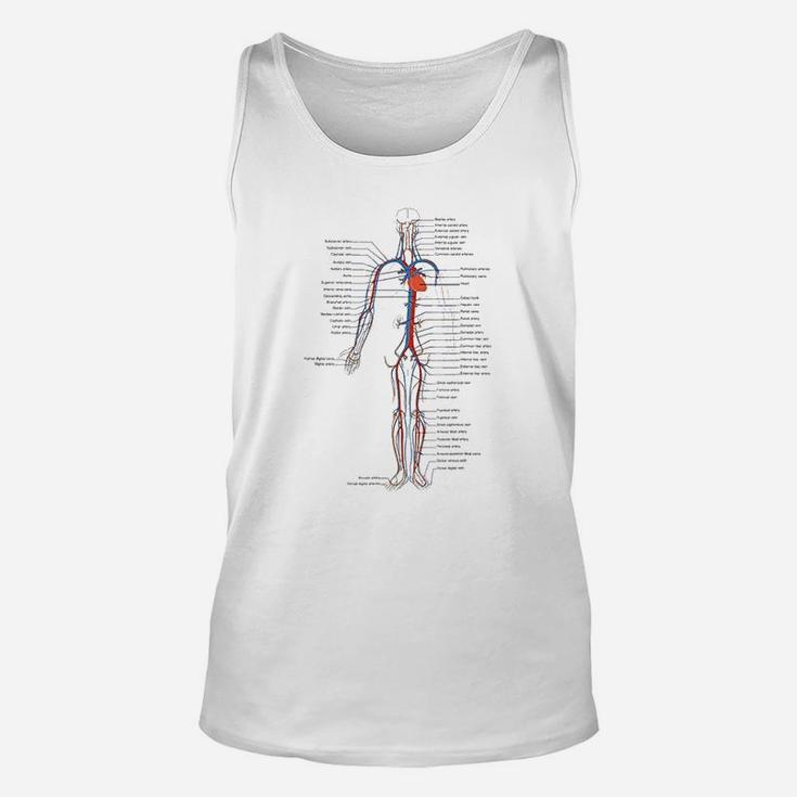 Circulatory System Anatomy Chart Arteries Veins Unisex Tank Top ...